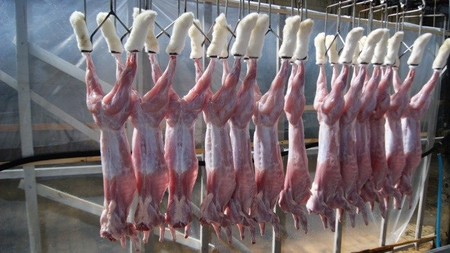 Halol quyon gosht