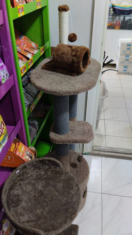 Шампунь для животных