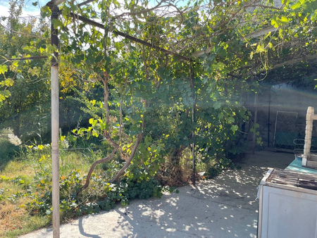Dacha OAZIS Sayoxat 23