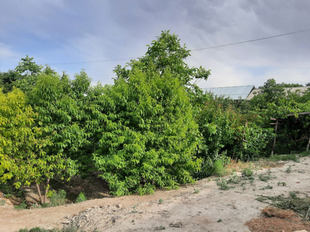 Dacha sotiladi . Navoiy shahar . 13 sotix . Kelishiladi . 499 mln.