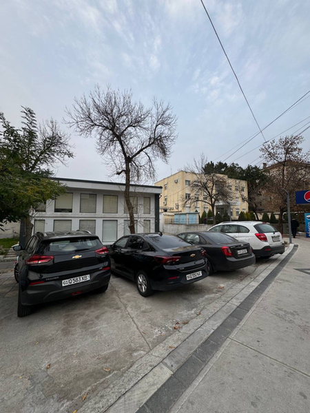 Сдается в аренду