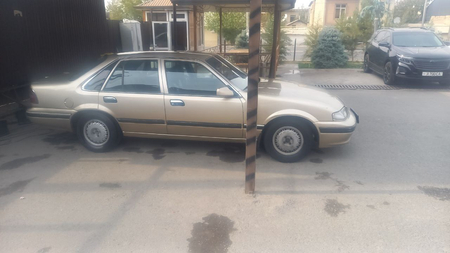 Pirinis sotiladi gazi bor mator xadavoy yengi qilingan  mowna naxa