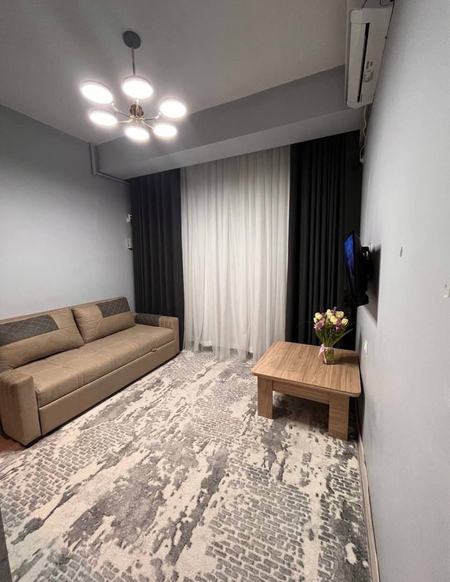 Сергели Сергели Green Hause Кирпич 2/1/10 Евроремонт