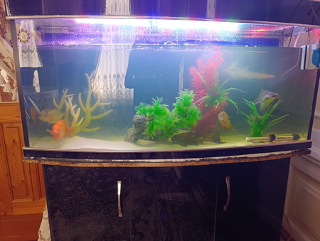 Akvarium sotiladi 20 litrli