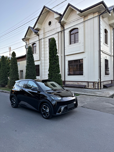 BYD Seagull йил 2024 Состаяние Йенгиде Тоза