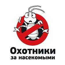 Дезинфекция, дезинсекция от вредных насекомых
