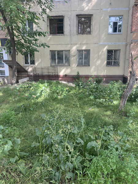 Чиланзар -16  под офис или нежилой фасад 2 окна 6 метров круг аль хоре