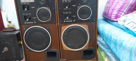СССР Калонка С30
