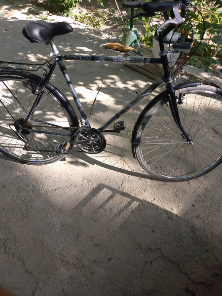 Sport velik assk