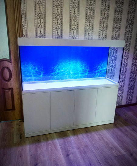 Yengi sifatliy Akvarium sotiladi новый аквариум