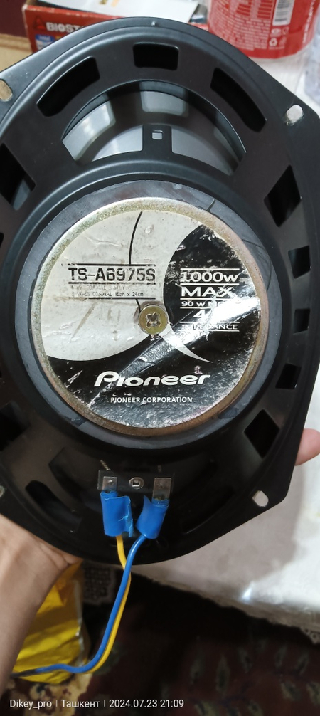 Pioneer Kalonka Aybi Bor