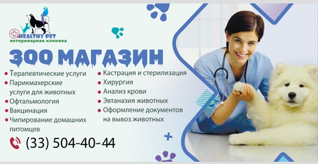 ветеринарная клиника + Зоомаркет уже Куйлик 1 массива