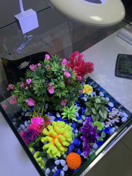 Akvarium Kub Hi Tech