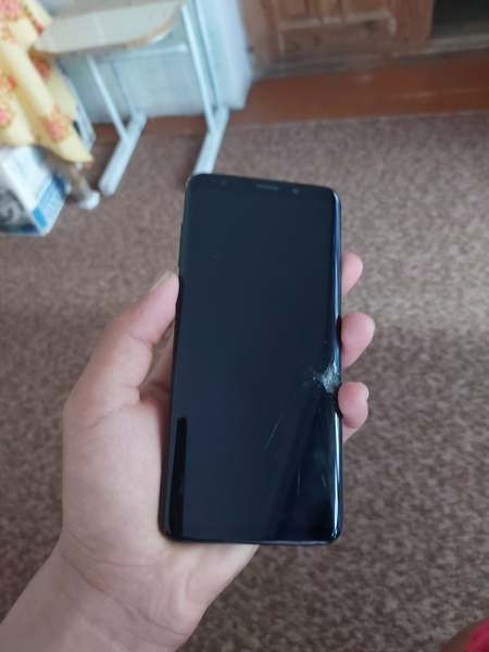 Samsung s9 Plus zapchastga
