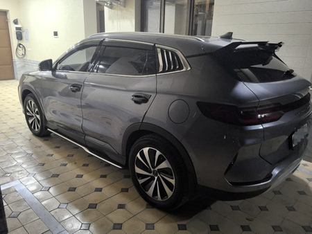 BYD Chempion 2023