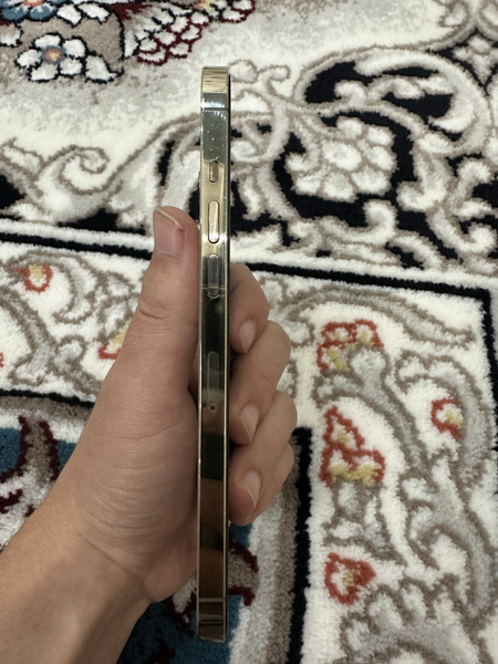 Iphone 12 Pro Max Gold Ideal