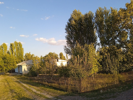 Участка 5 хонали тел