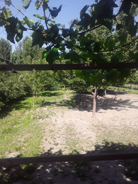 Uchastka sotiladi srochna