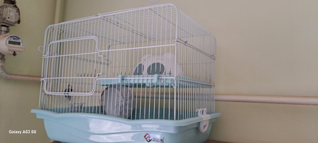 Продаётся клетка для хомяка новая
