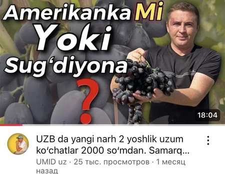Uzimiz Bog’ qilib Beramiz