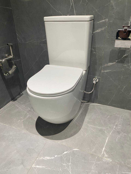 Унитаз для дома или офиса.