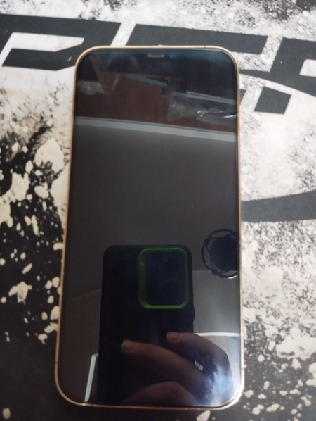 Iphone 12 pro max