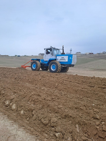 T 150 xolati zur
