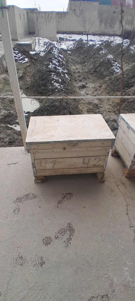 Asalari oilasi sotiadi 4_5_6 ramaki zoti karpat kardinka bakvas zotlar