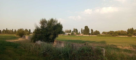 Ferma srochna sotiladi