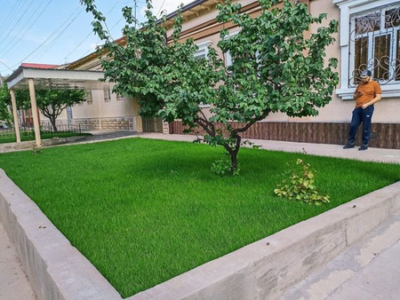 Chim va gazon xizmatlarini taklif etamiz