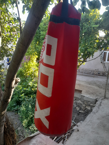 Mishokcha sotilade xolati narmali