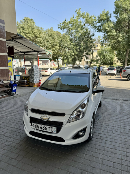Arenda Vipuk. Spark