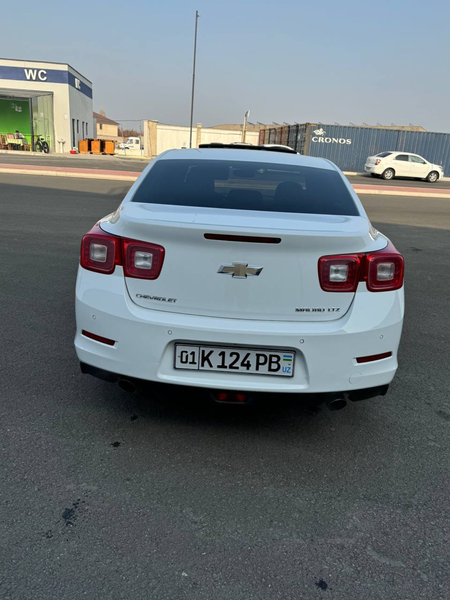 Malibu 1 3 pozitsitsiy