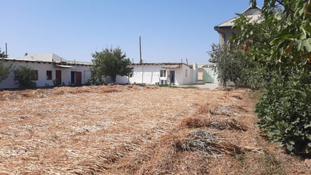 Srochno sotiladi hamma hujjati joyida