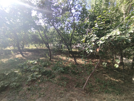 Narxi kelishiladi