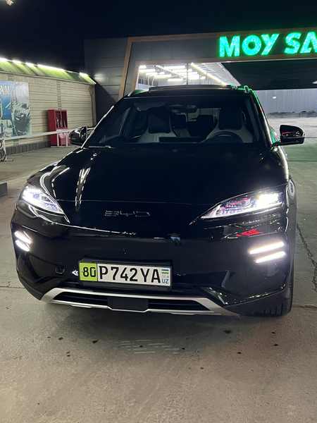 BYD Chempion 2024 full заказ на любой торжество