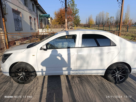 Cobalt 4-pozitsiya toza sotiladi rangi oq bir odam haydagan
