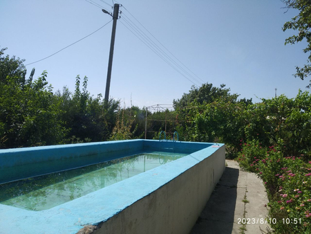 Dacha, Дача аренда