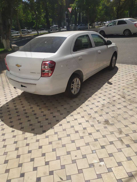Cobalt M/X  Arenda s  vikop
