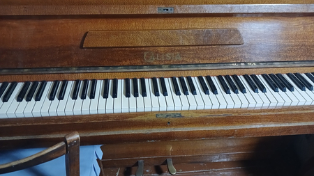 Calisia  pianino