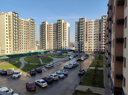 Arenda olmozor citi oila yoki shariy oilaga beriladi