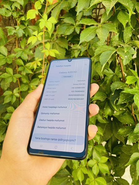 Samsung Galaxy A33