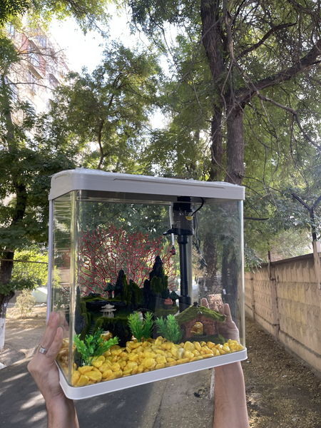Akvarium mini xitoy