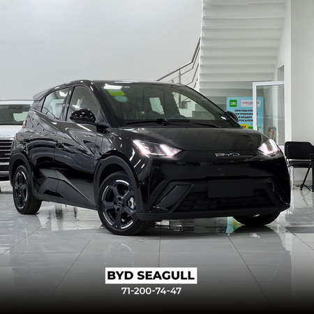 Byd seagull full