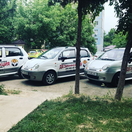 Дезинфекция , Дезинсекция , Дератизация