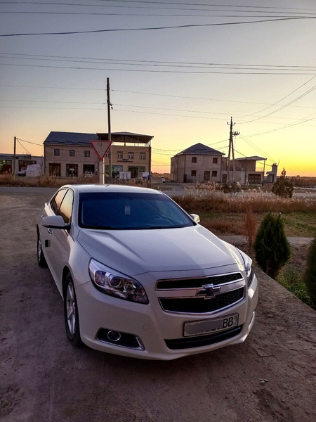 Malibu radnoy 100 toza