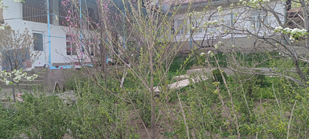 Dacha sotiladi buchkadan tepada sijjakda joylashgan