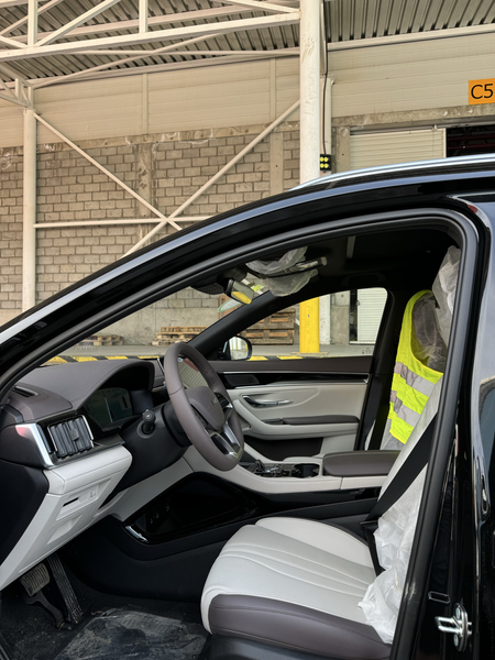 Byd song plus champion restyling