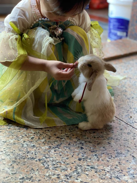 Shunaqa karlikviy padarichniy quyonla