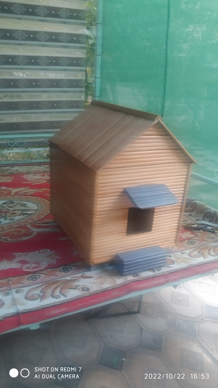 скворечник для птиц